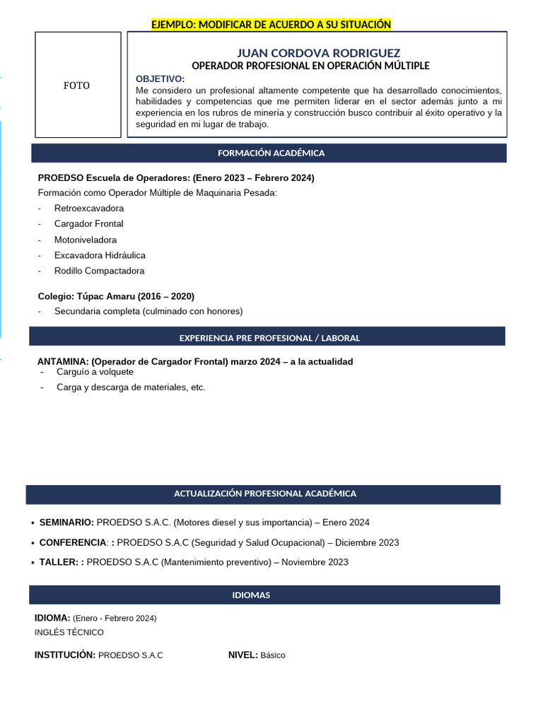 Modelo Editable de CV - Alumnos Proedso Egresados | PDF