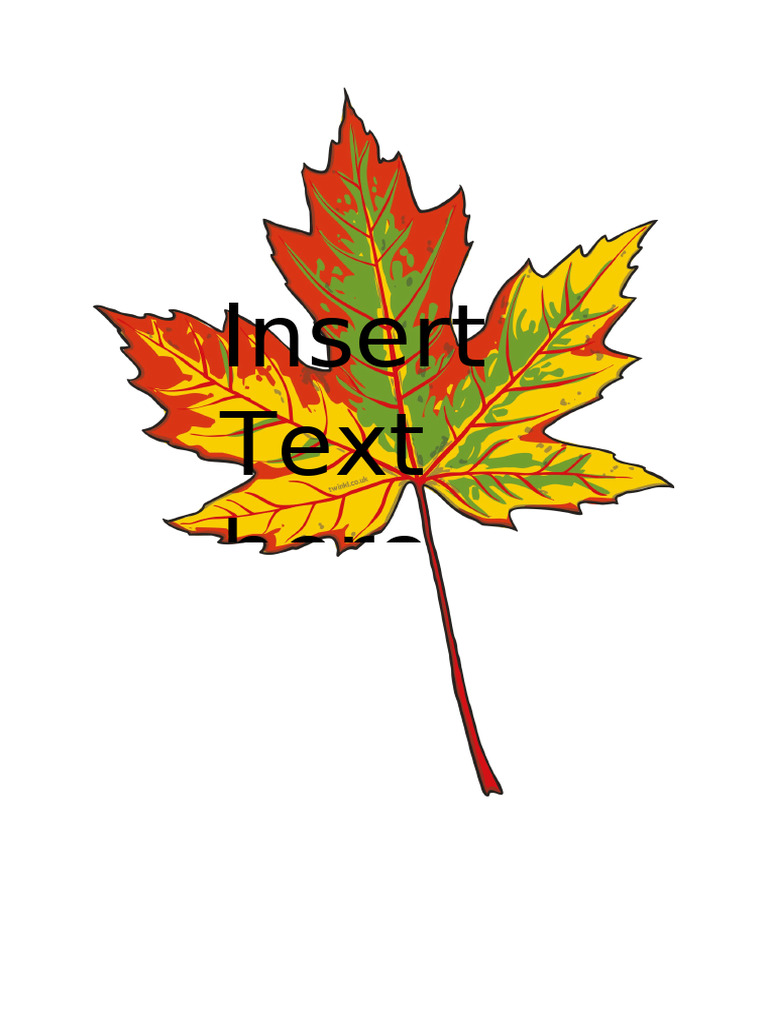 Us T 252222 Editable Fall Leaves | PDF