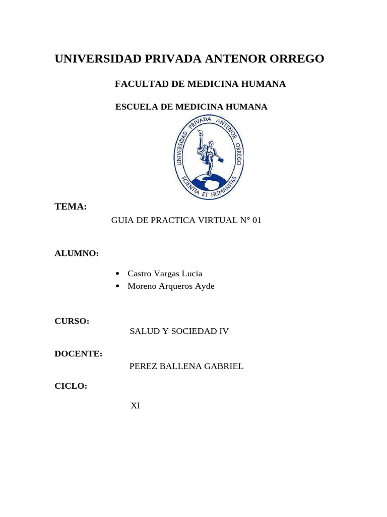 Guía Práctica Virtual Salud IV | PDF