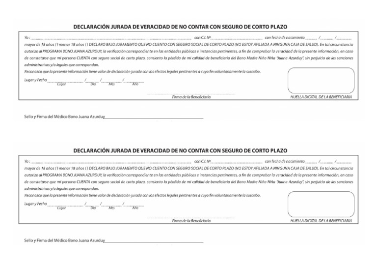 declaracion_jurada_madre (1) | PDF