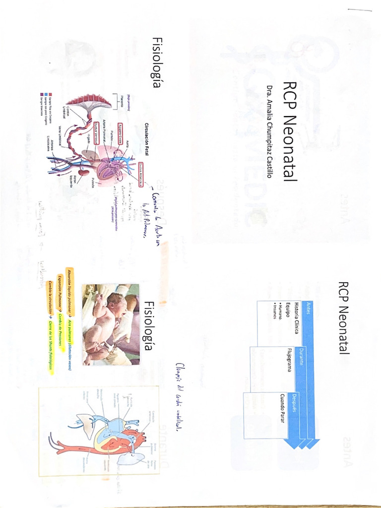 RCP Neonatal | PDF