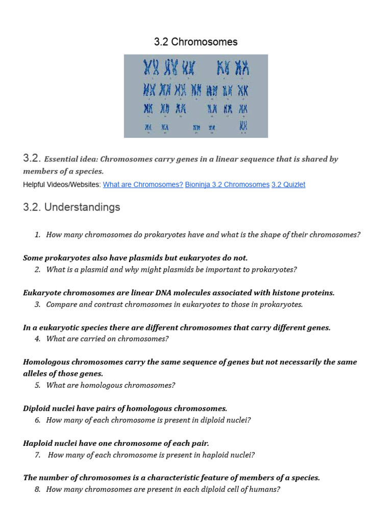 Pre-IB 3.2 Study Guide (Chromosomes) | PDF | Chromosome | Karyotype