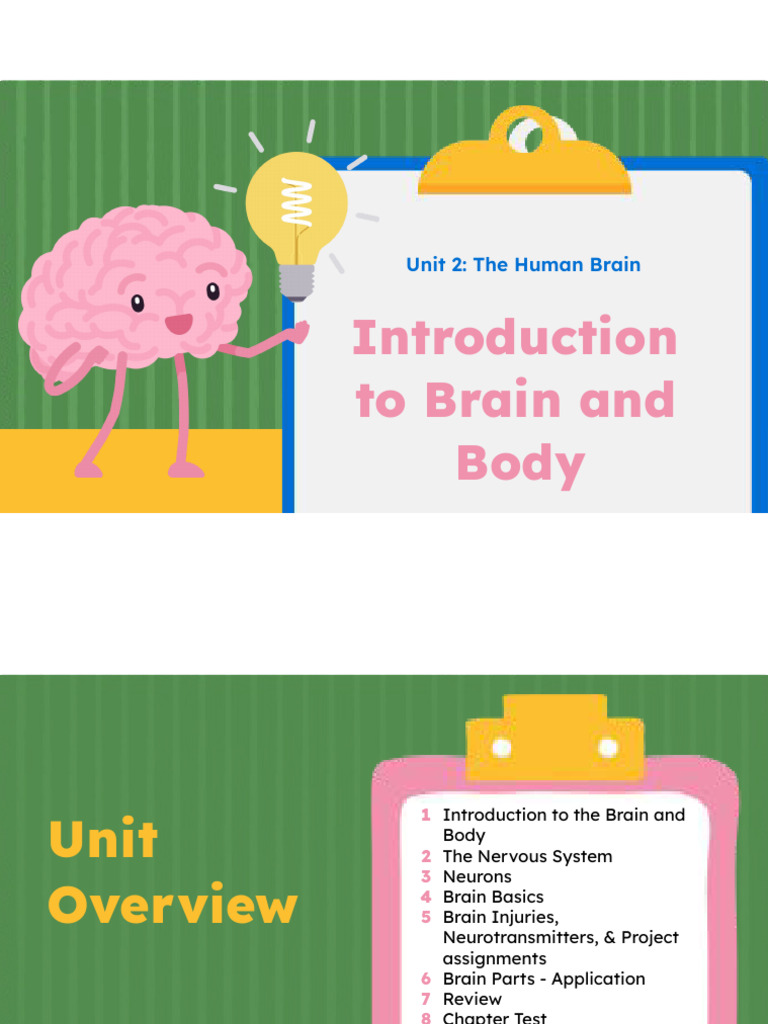 2.1 Intro To The Brain and Body PDF | PDF | Brainstem | Cerebral Cortex