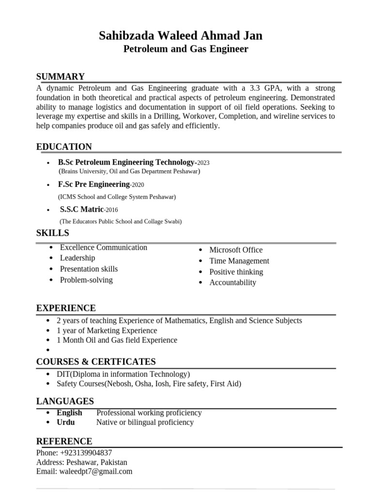 Waleed CV | PDF