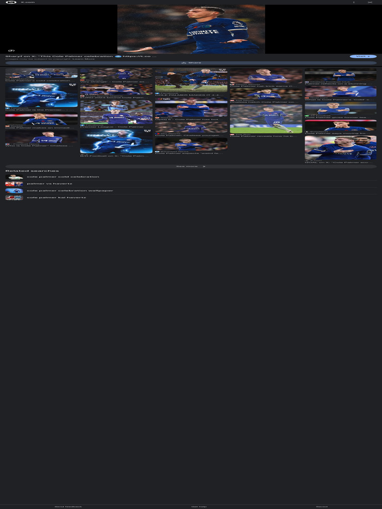 Cole Palmer Celebration PFP - Google Search | PDF