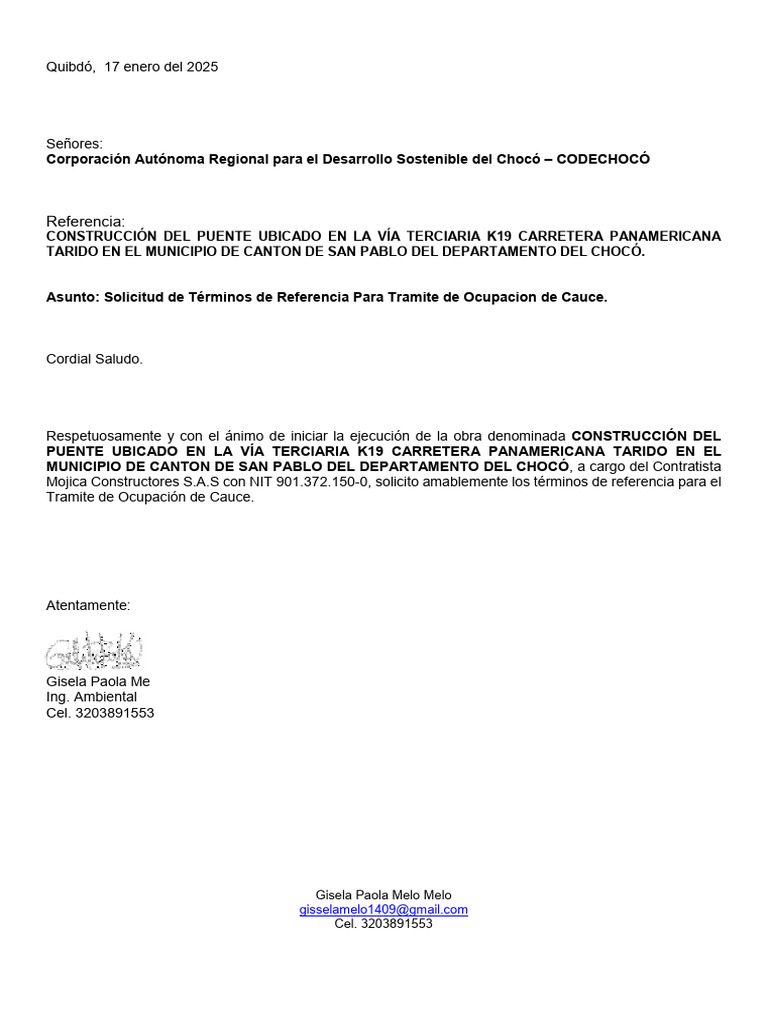 Solicitud Términos de Referencia Puente Chocó | PDF
