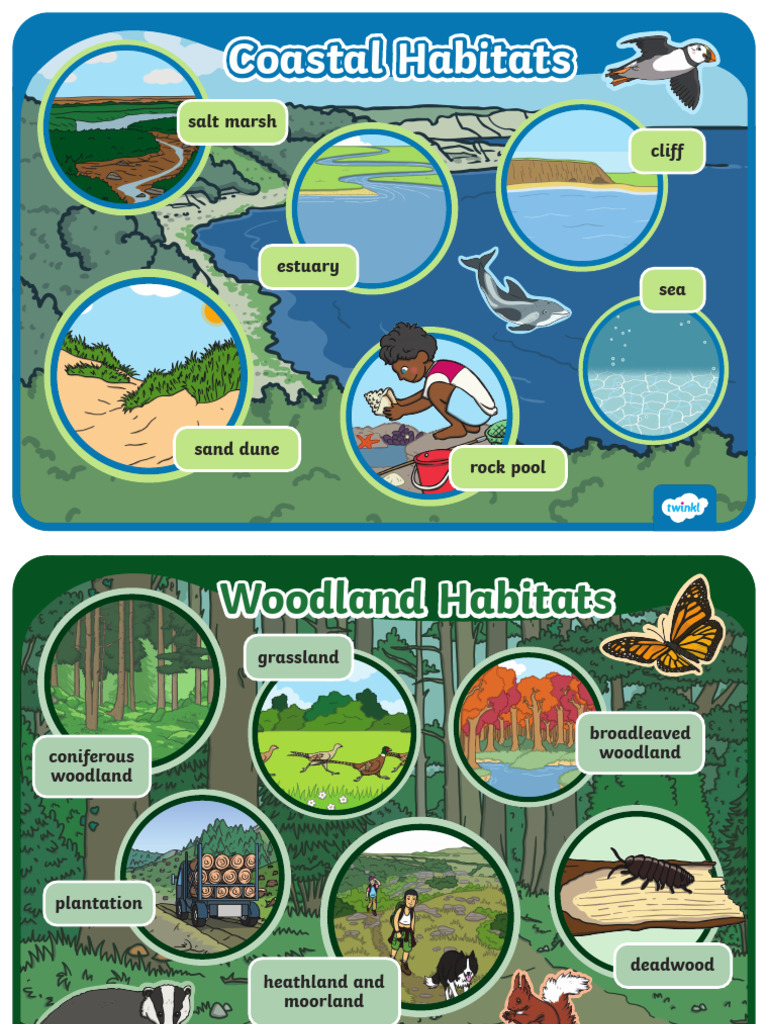 Coastal and Woodland Habitat Guide | PDF