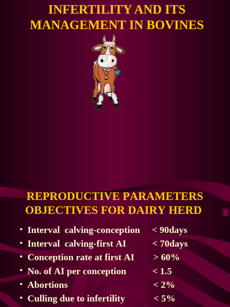 Bovine Infertility Management Guide | PDF | Livestock | Cattle