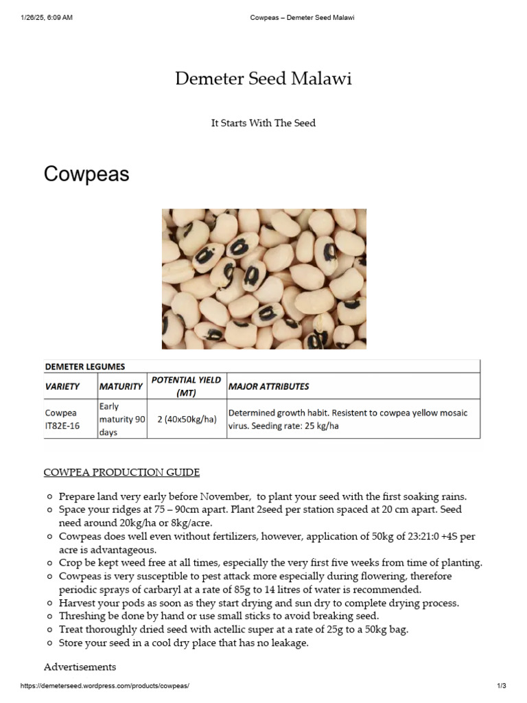 Cowpea Production and Seed Rate Guide | PDF | Horticulture | Botany