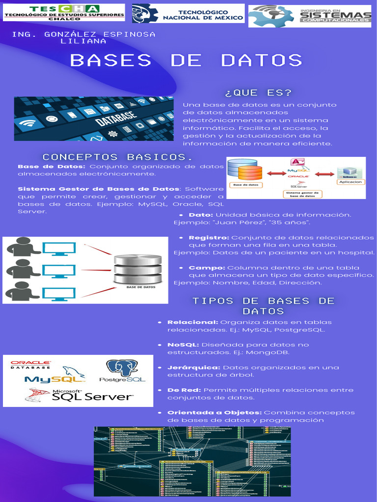 Infografia de Bases de Datos, Concepto General | PDF | Bases de datos ...