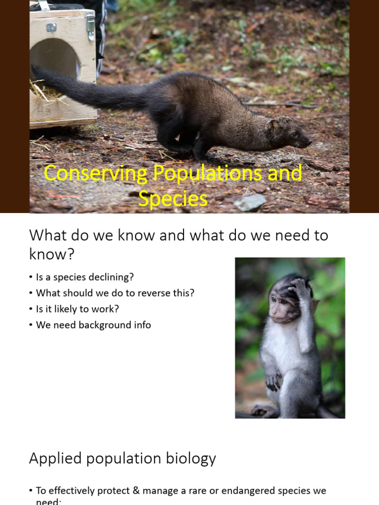 7 - Conserving Populations and Species | PDF | Conservation Biology | Endangered Species Act Of 1973