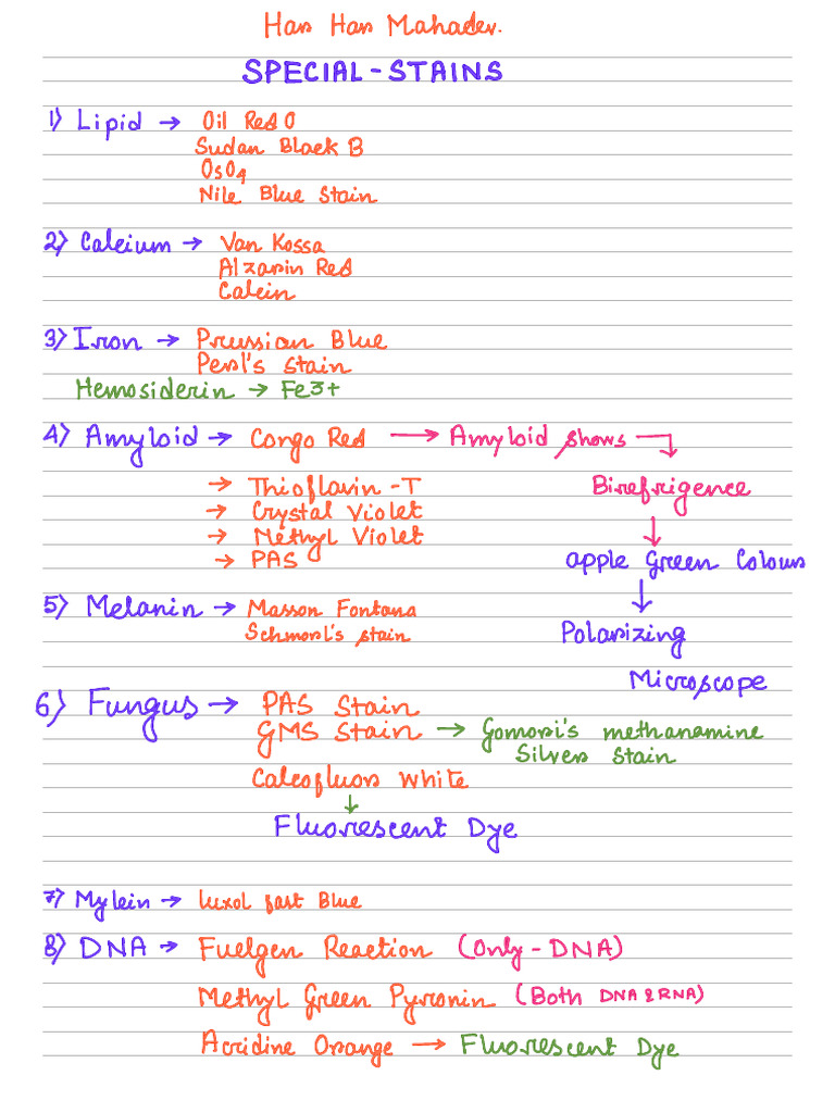 Special Stains | PDF