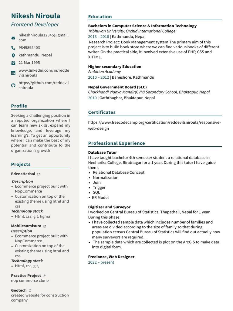 Frontend Developer Resume | PDF | Computing | Information Technology