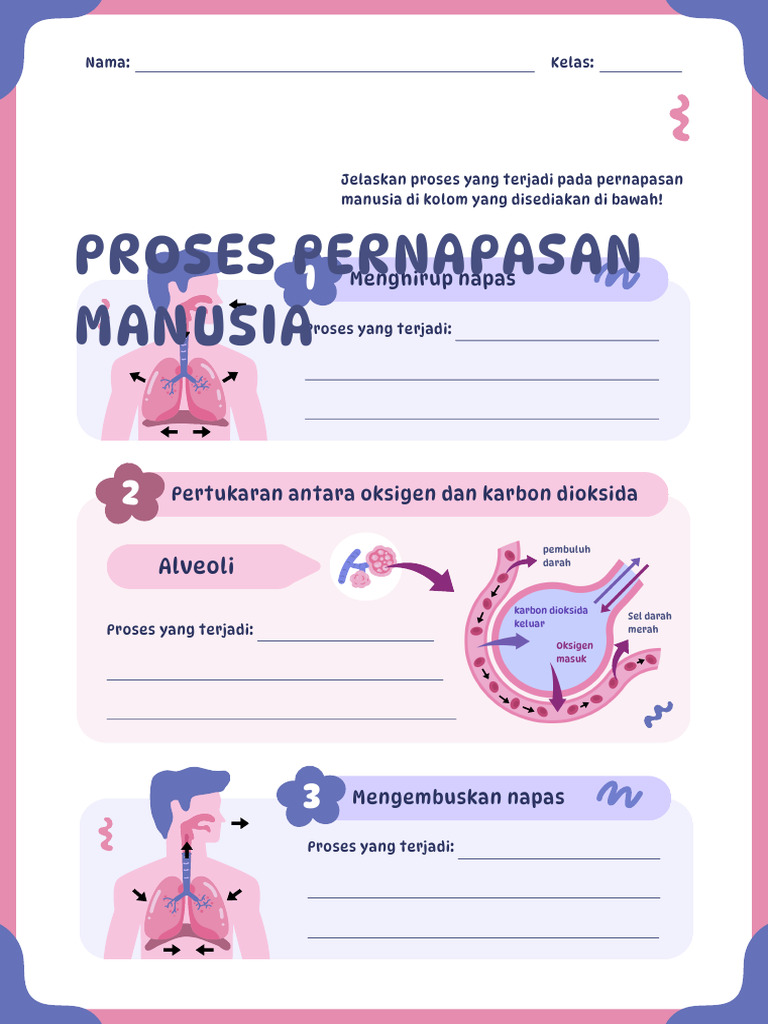 Proses Pernapasan Manusia IPAS Lembar Kerja Pendidikan | PDF