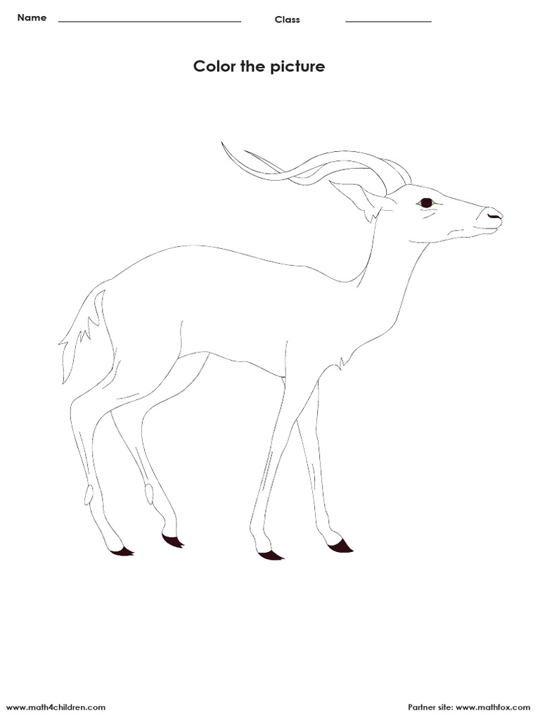 Antelope | PDF