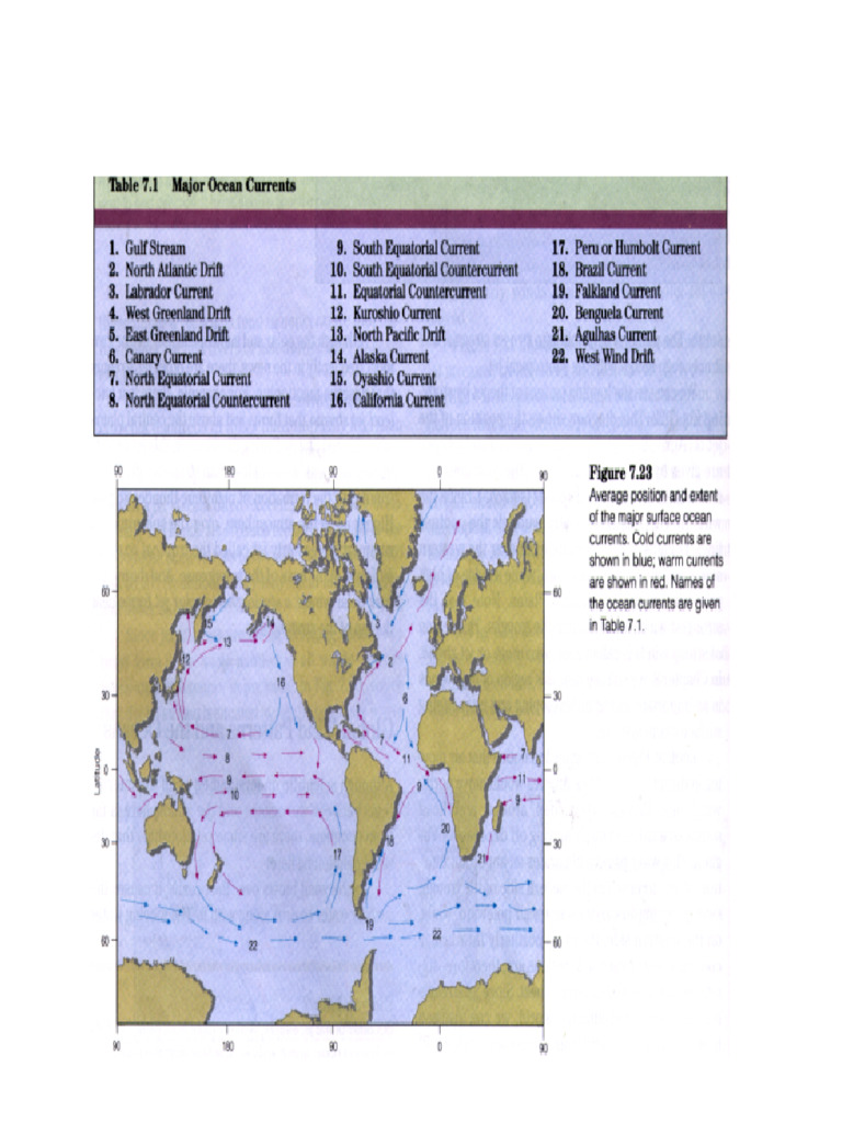 Global Wind Patterns and Ocean Currents | PDF | Sea Surface Temperature ...