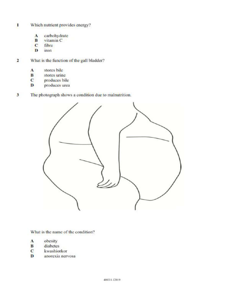 Split_20241029_1346 | PDF