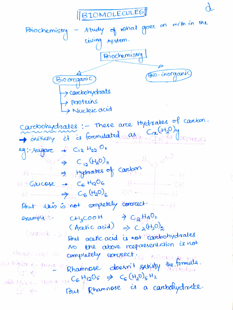 Biomolecules - Carbohydrates | PDF | Glycogen | Carbohydrates