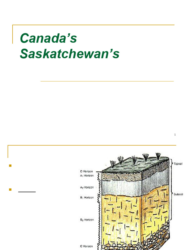 Canadian & Saskatchewan Soils | PDF | Soil | Natural Materials