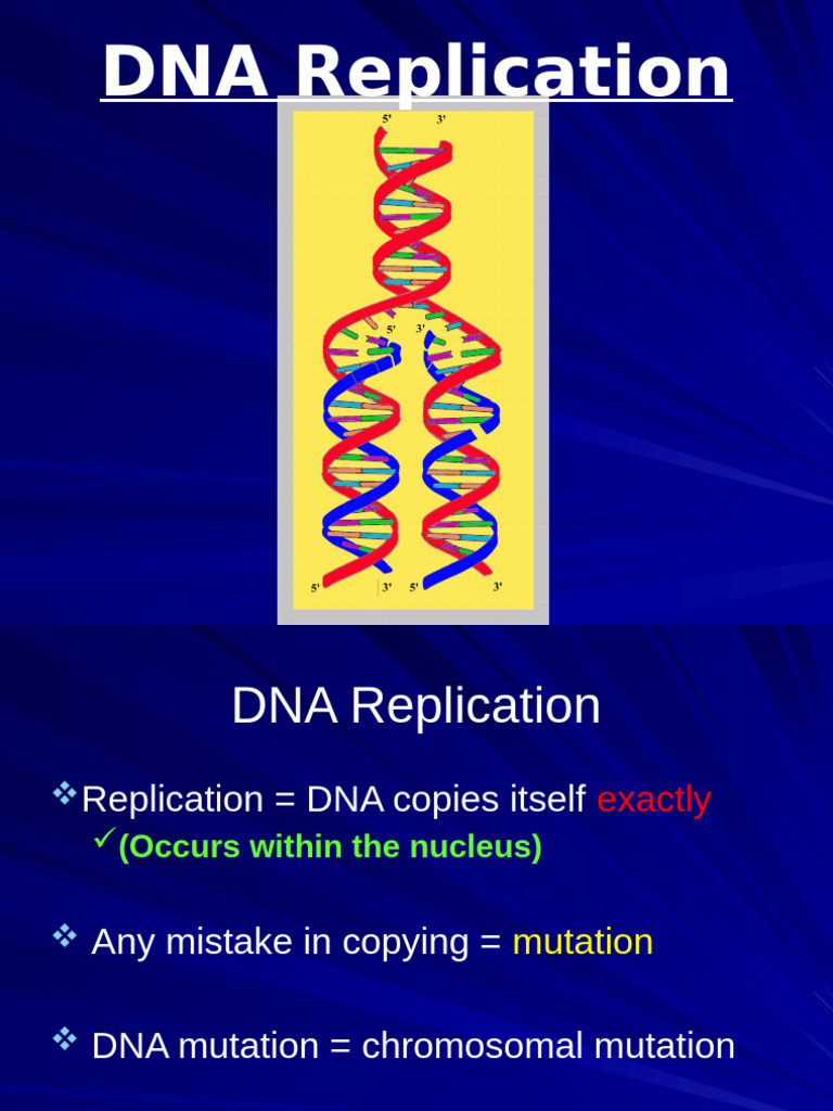DNA Replication | PDF