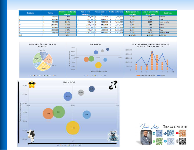 MATRIZ BGC Excel ? 1717910195 | PDF