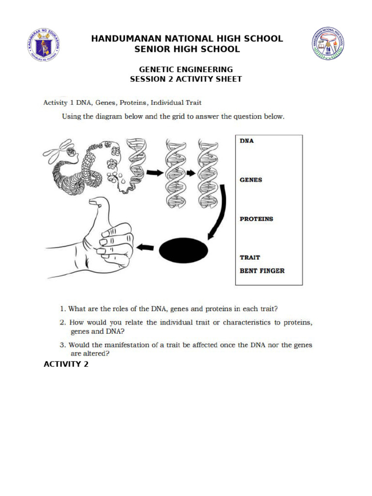 Activity Sheet 2 Session 2 | PDF