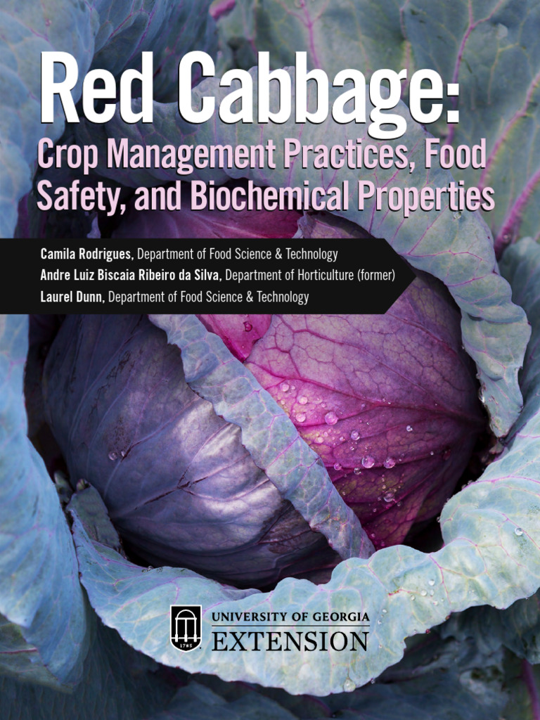 C 1221_3 | PDF | Cabbage | Soil