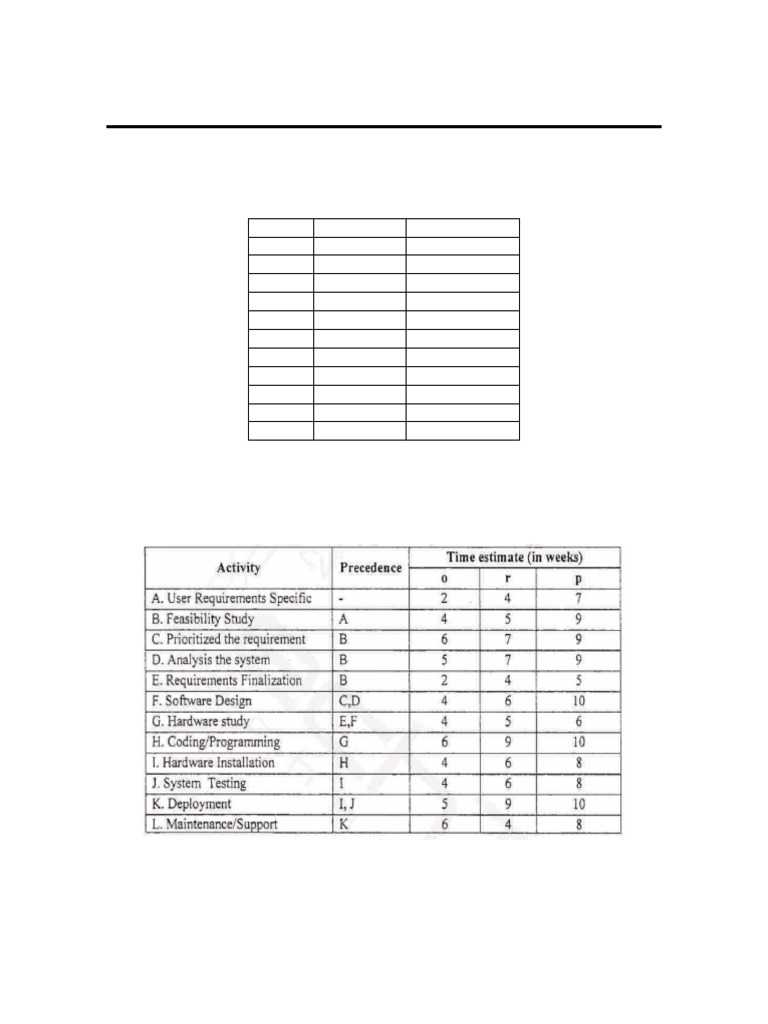Managing Information Systems Project | PDF