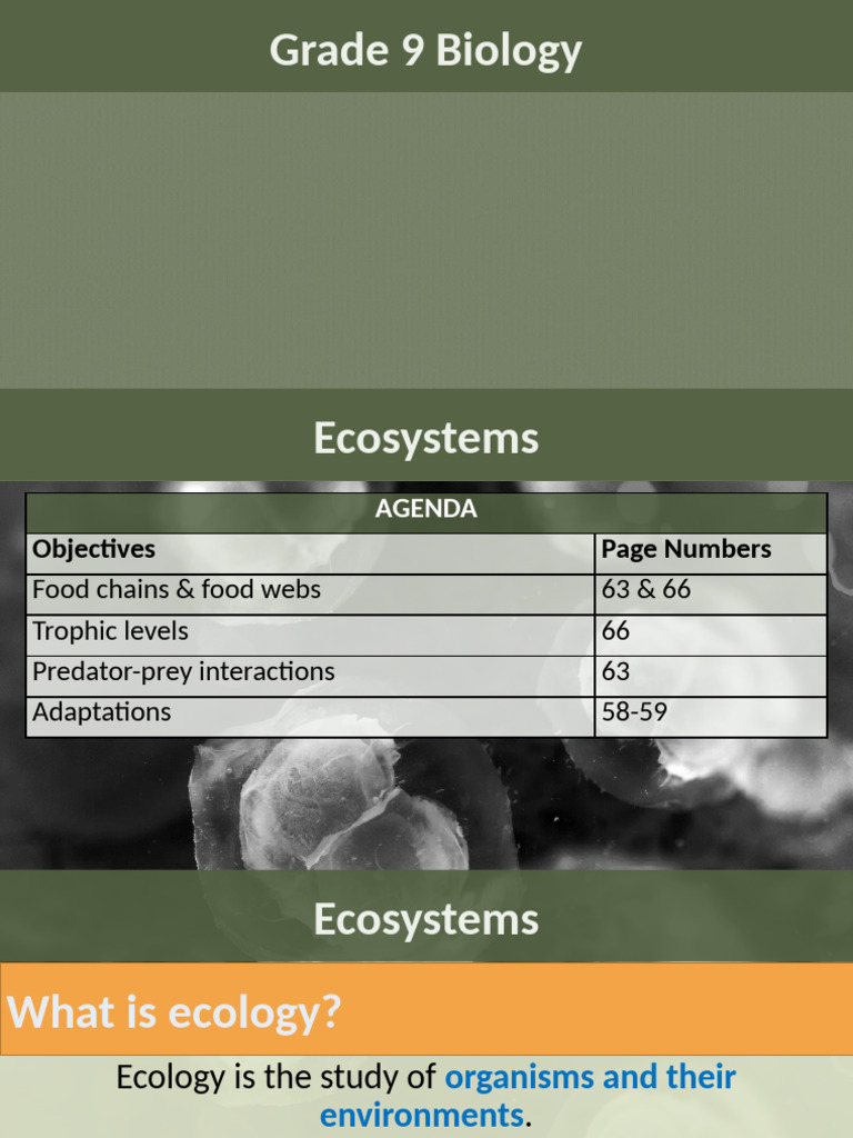 Ecosystems | PDF | Food Web | Ecosystem