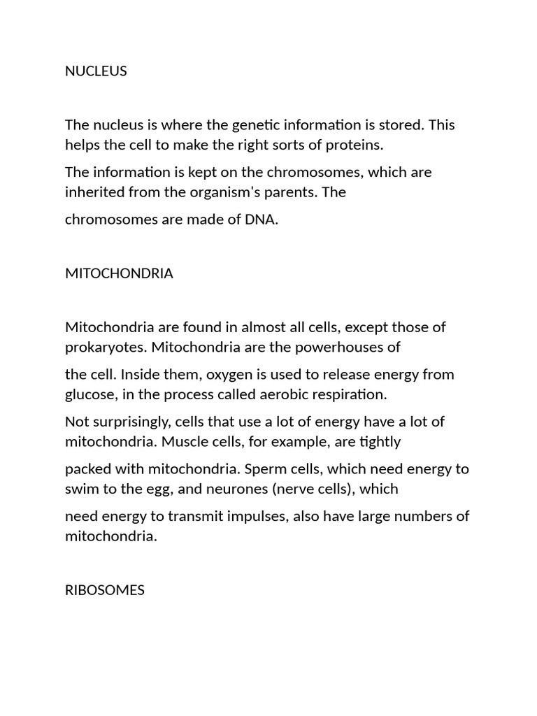 Cell Organelles: Nucleus, Mitochondria, Ribosomes | PDF