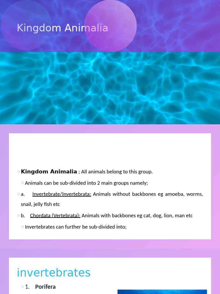 Power Point On Kingdom Animalia | PDF | Invertebrate | Amphibian