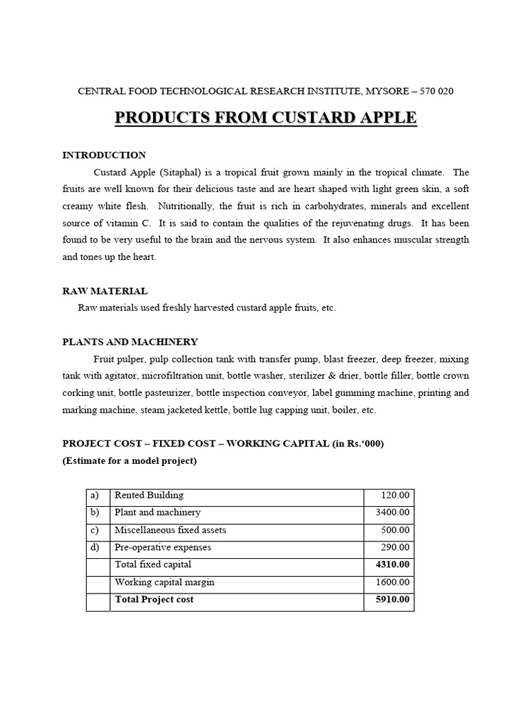 Custard Apple Processing Project Guide | PDF
