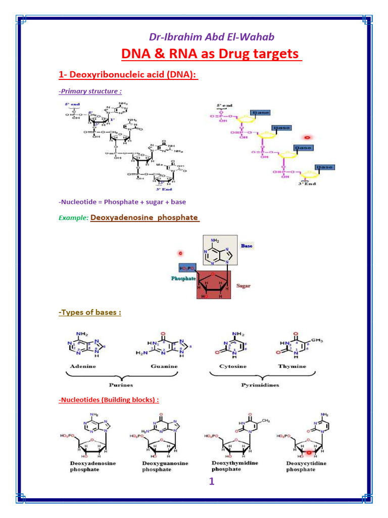 DR.hend-DNA-1 | PDF | Dna | Rna
