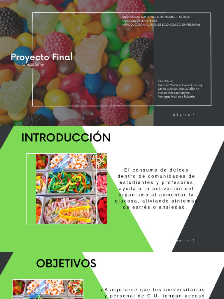 Proyecto Final - Grupo 3 - Presentación | PDF | Mercado (economía)