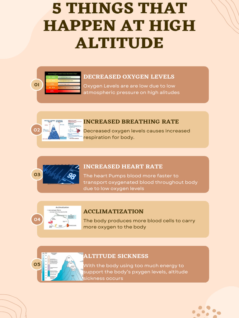 Peach Brown Illustrative Study Tips Poster | PDF