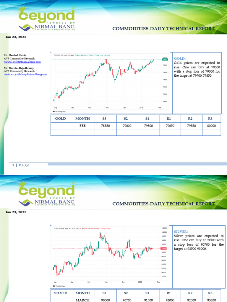 Commodities-Daily Technical Report | PDF | Economies | Trade