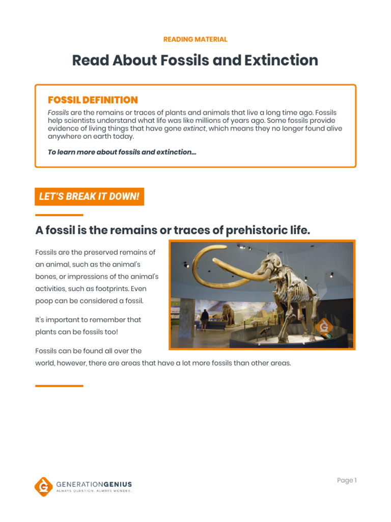 fossils-extinction-reading-material-grades-3-5 | PDF | Fossil