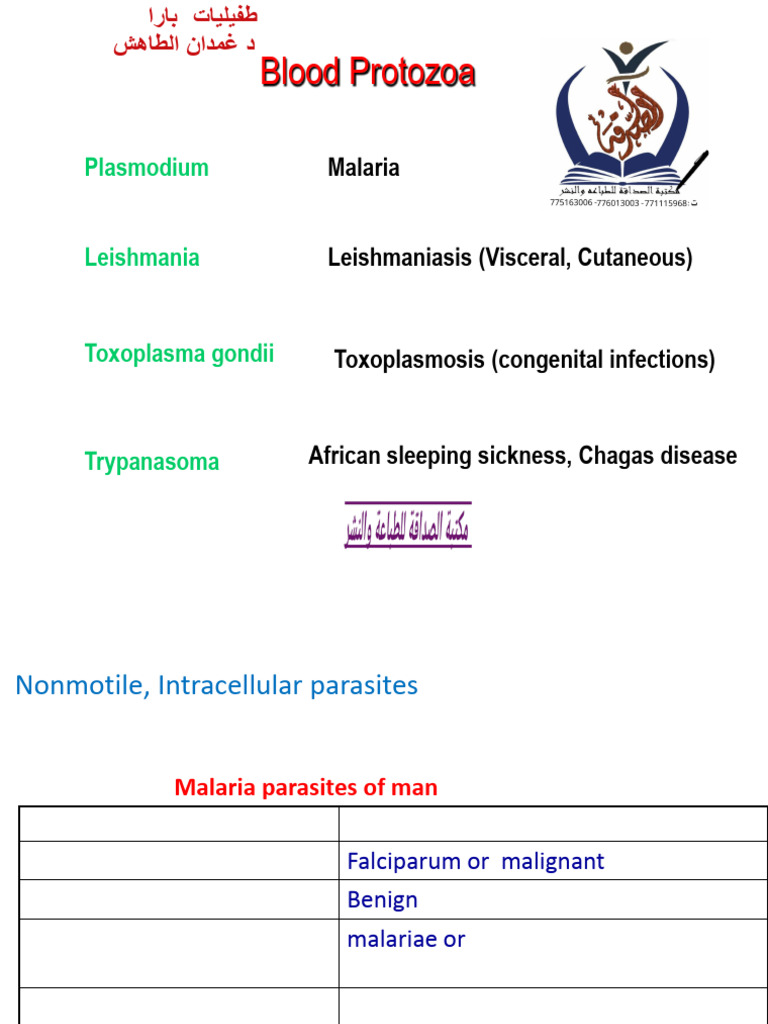 Parasite | PDF | Plasmodium | Malaria