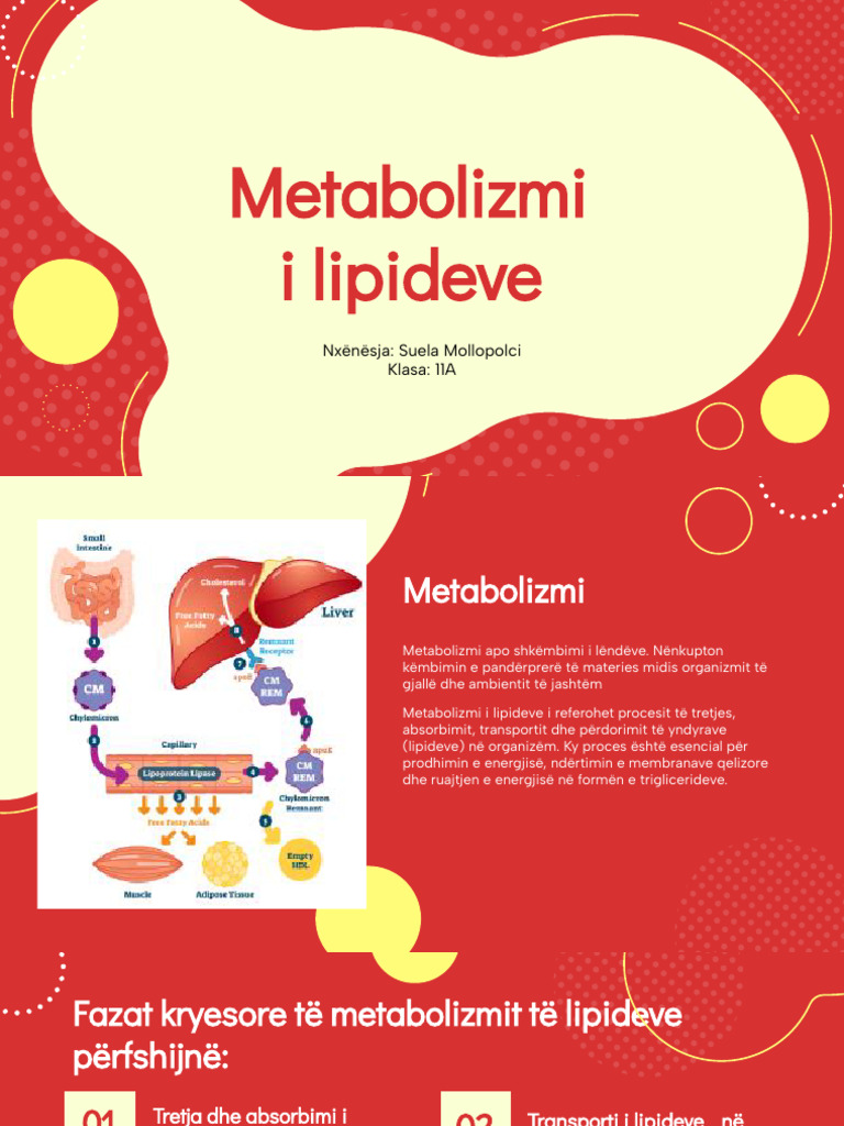 Lipids Case Study by Slidesgo | PDF