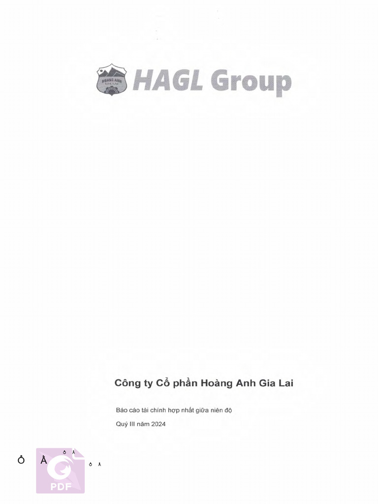 HAG - BCTC Hop Nhat Quy 3.2024 | PDF | Southeast Asia | Vietnam