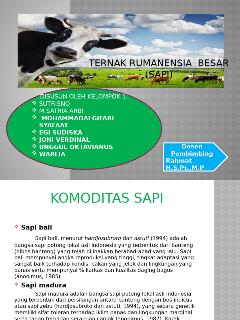 Jenis dan Karakteristik Sapi di Indonesia | PDF