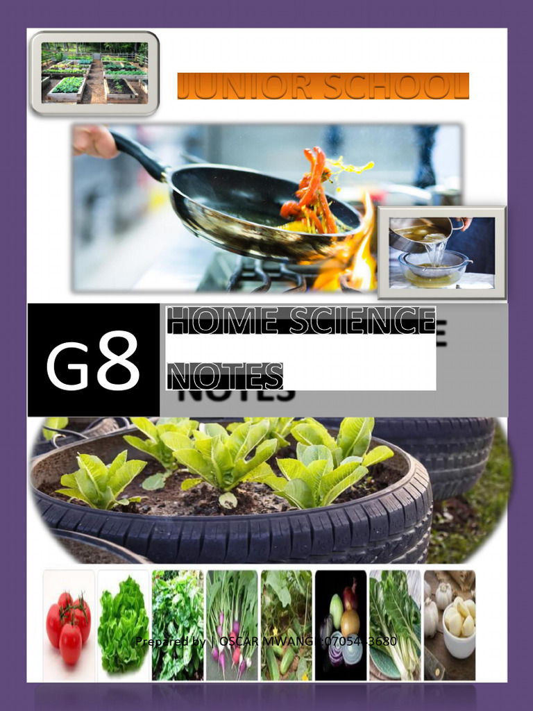 g8 Homescience Notes 2024 - Term 1 | PDF