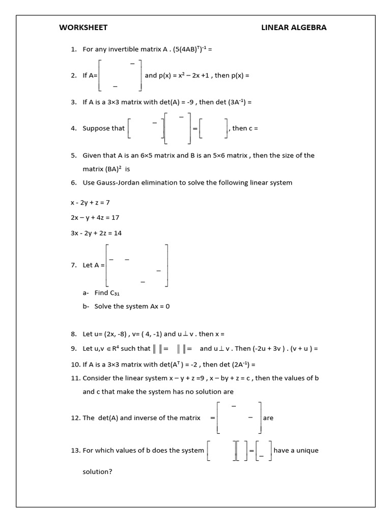 Linear Algebra Worksheet Problems | PDF