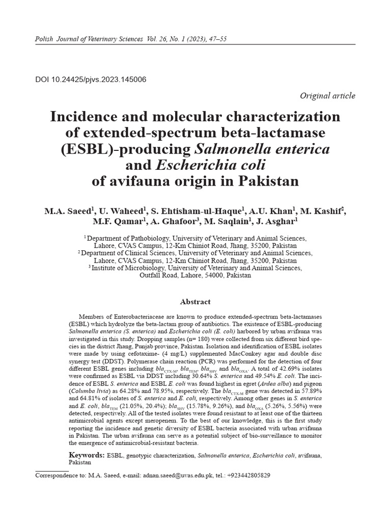 Incidence and molecular characterization of extended-spectrum beta-lactamase (ESBL) | PDF | Beta ...