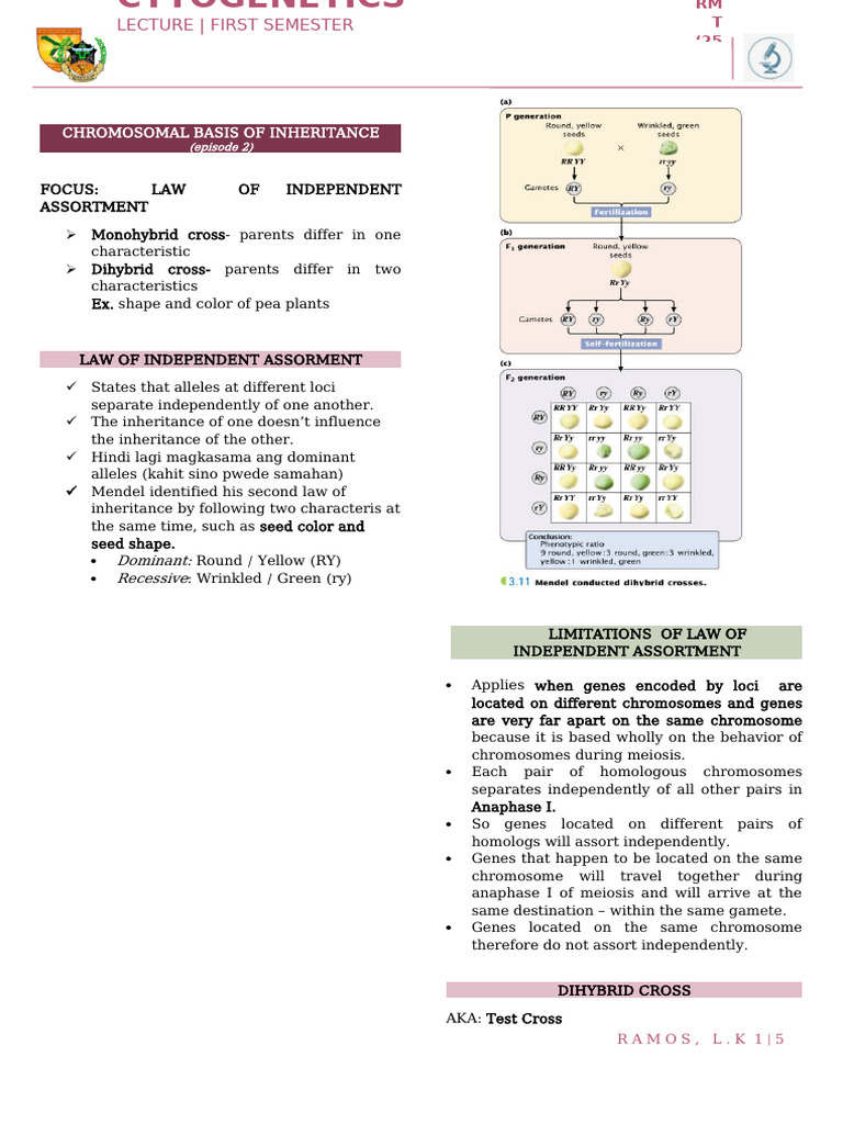 CHROMOSOMAL BASIS OF INHERITANCE EP 2 | PDF | Dominance (Genetics) | Zygosity