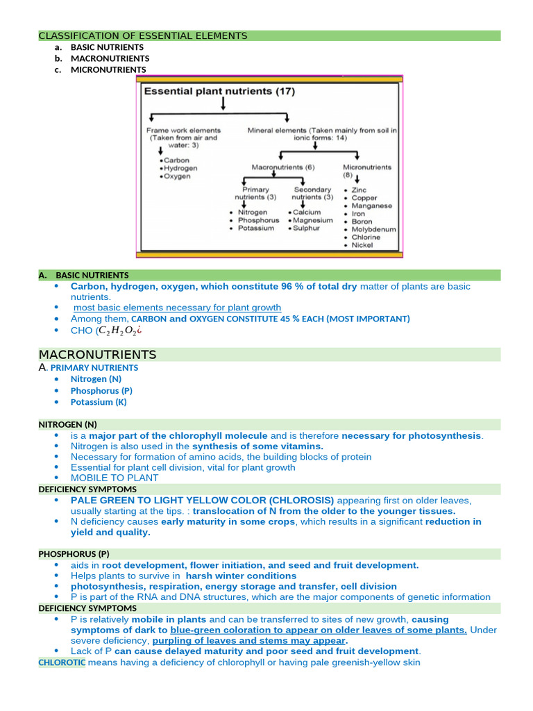 Classification of Essential Elements | PDF | Plant Nutrition | Biology