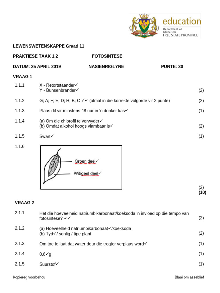 LS GR 11 Prakties 2 Memo 2019 AFR 1568736227 | PDF
