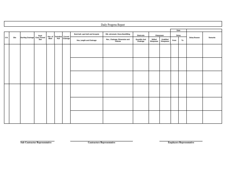 Daily Progress Report Overview | PDF