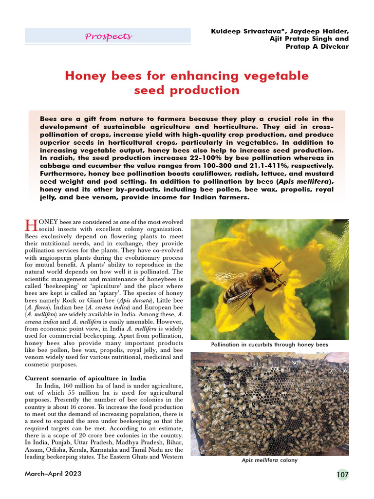 22 Honey Bees For Enhancing Veg | PDF | Pollination | Honey Bee