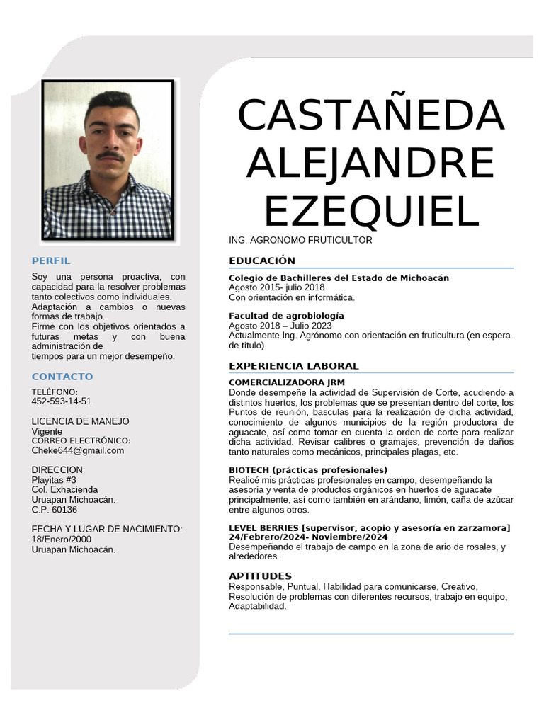 Castañeda Alejandre ezequiel-CV | PDF